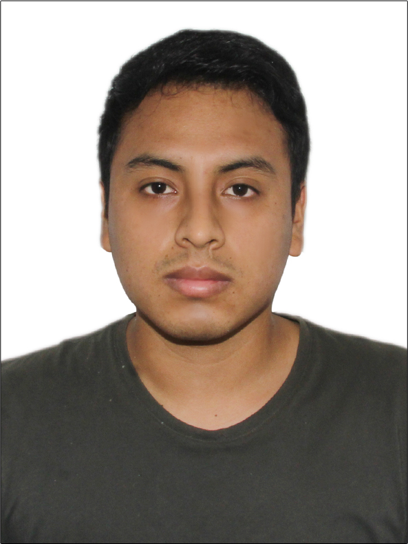 Mr. Leonardo Rubén Ramos Ticona - IAHR